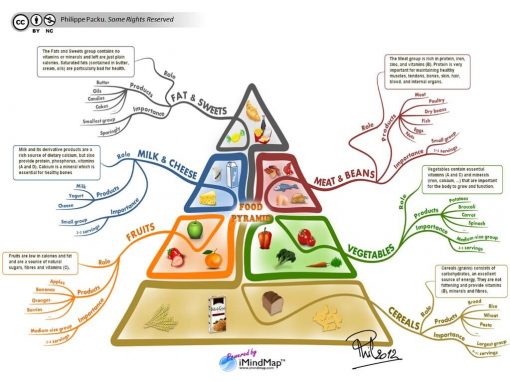 traditional food pyramid - VNF Nutrition