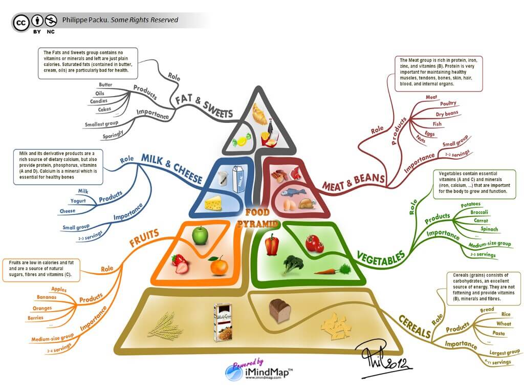 traditional food pyramid - VNF Nutrition